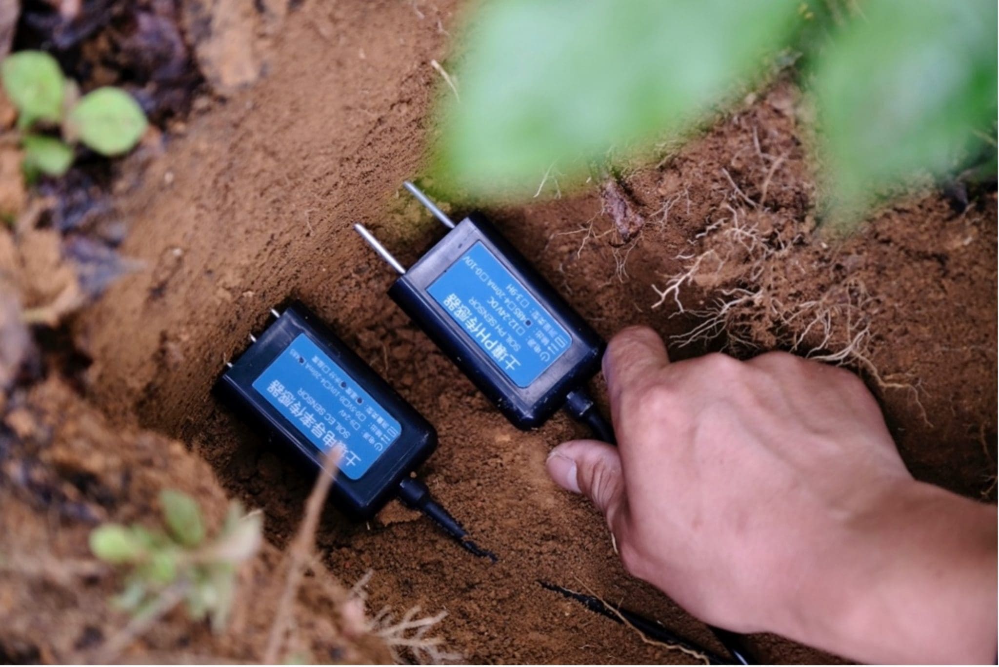 Leping Social Entrepreneur Foundation