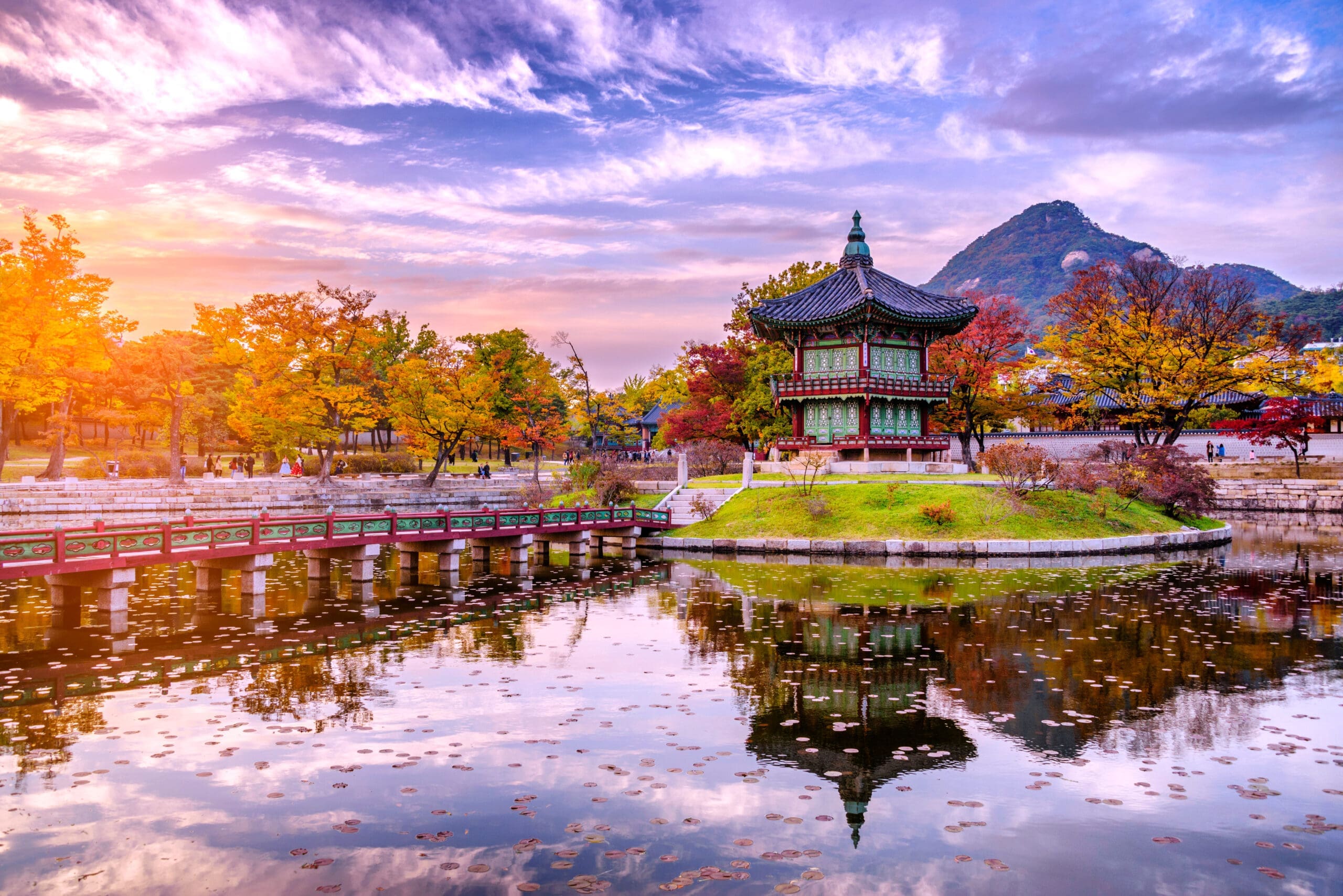DisasterLink Country Profile: South Korea